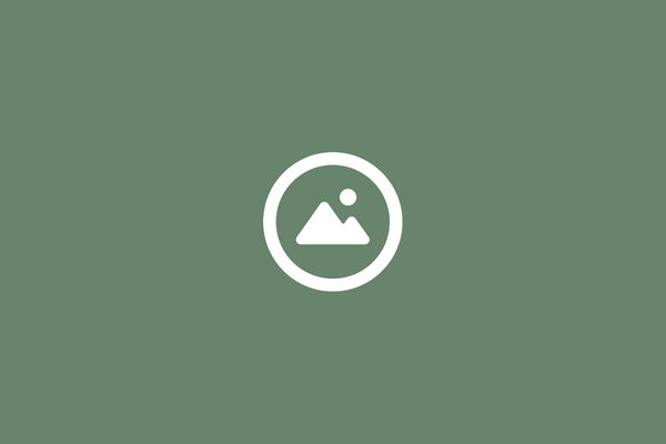 Upload Custom Icons - Alpaca Travel Upload Custom Icons - Alpaca Travel